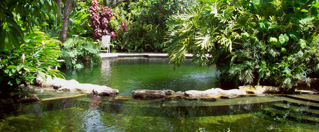 10 ideas de piscinas naturales y sostenibles